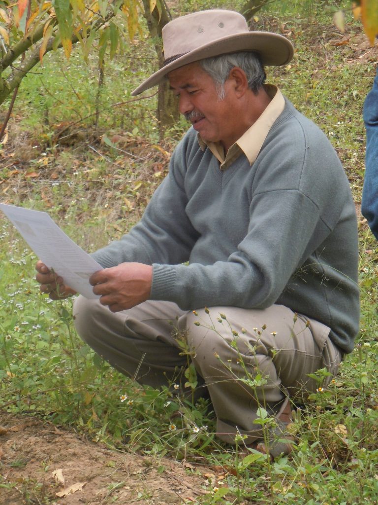 Plantwise supporting implementation of the International Code of ...