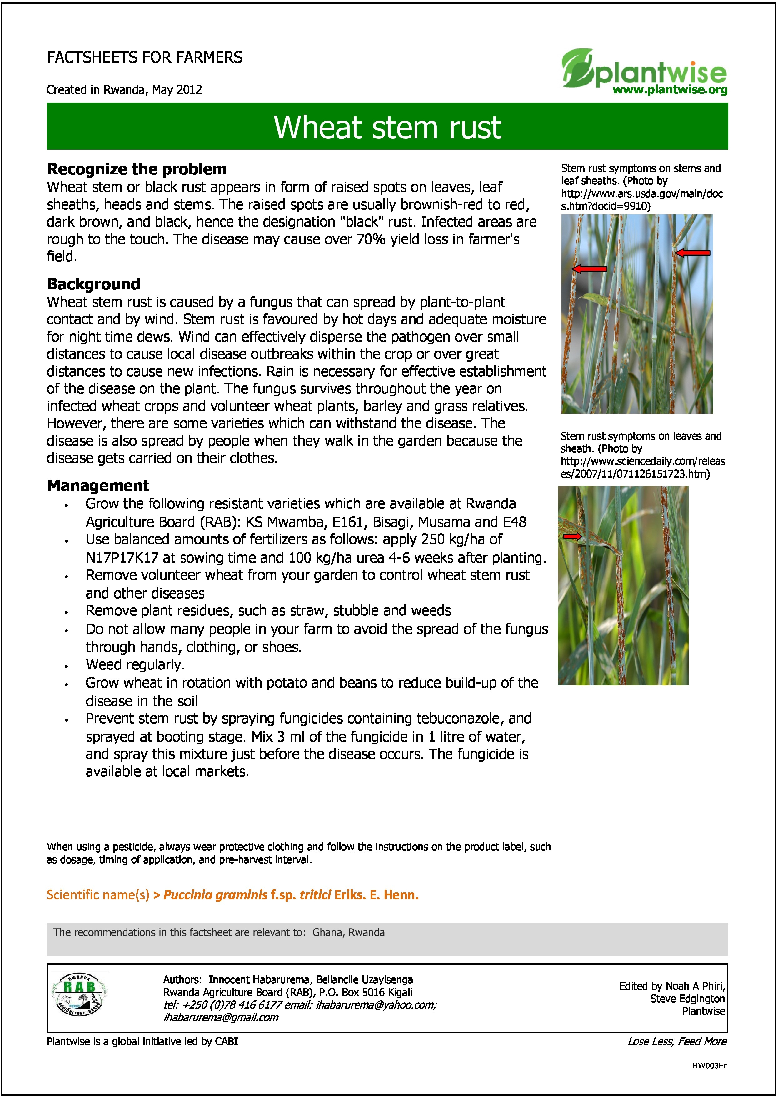 Factsheet of the month: April - Wheat stem rust – PlantwisePlus Blog