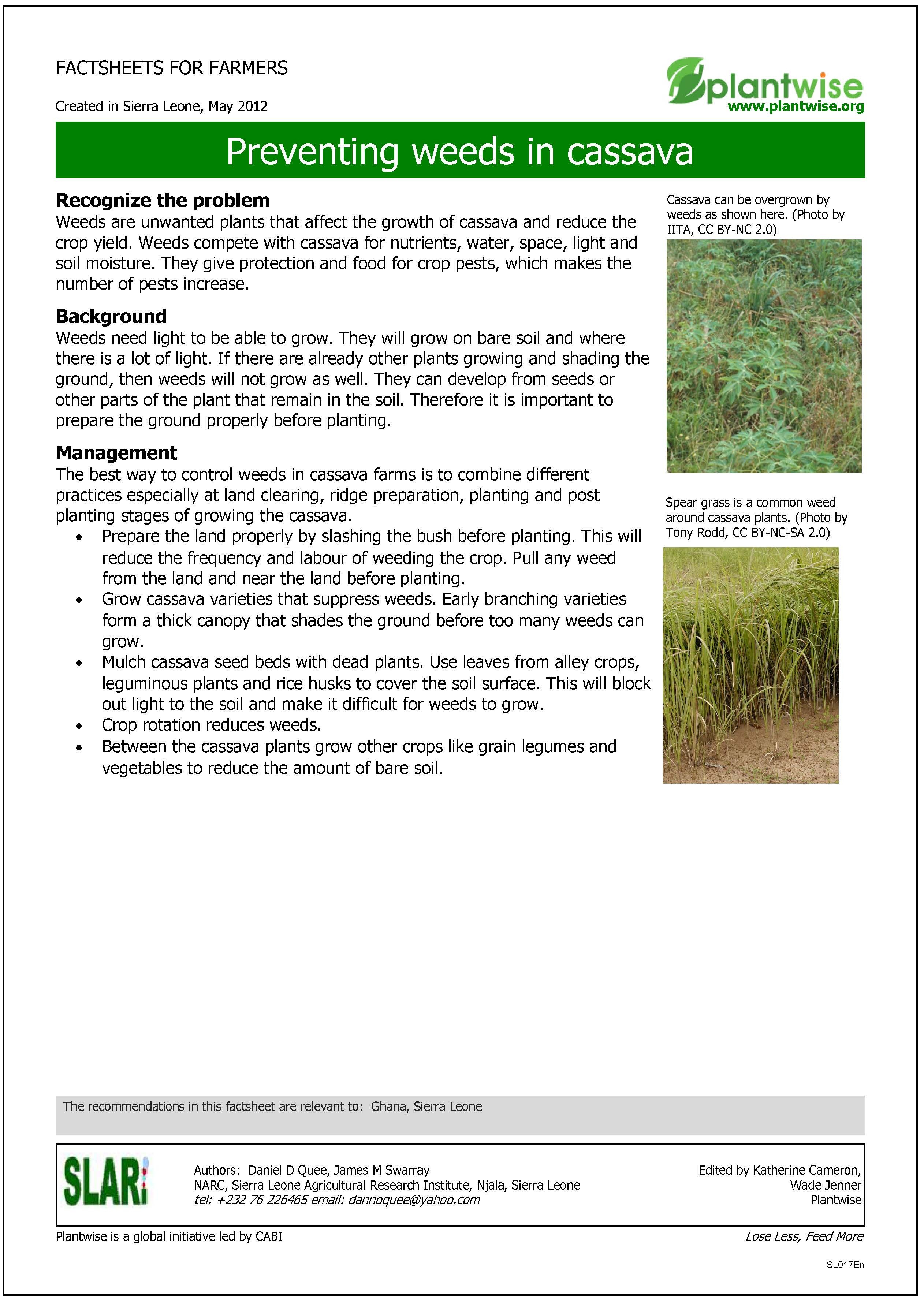 Factsheet of the month: October - Preventing weeds in cassava ...