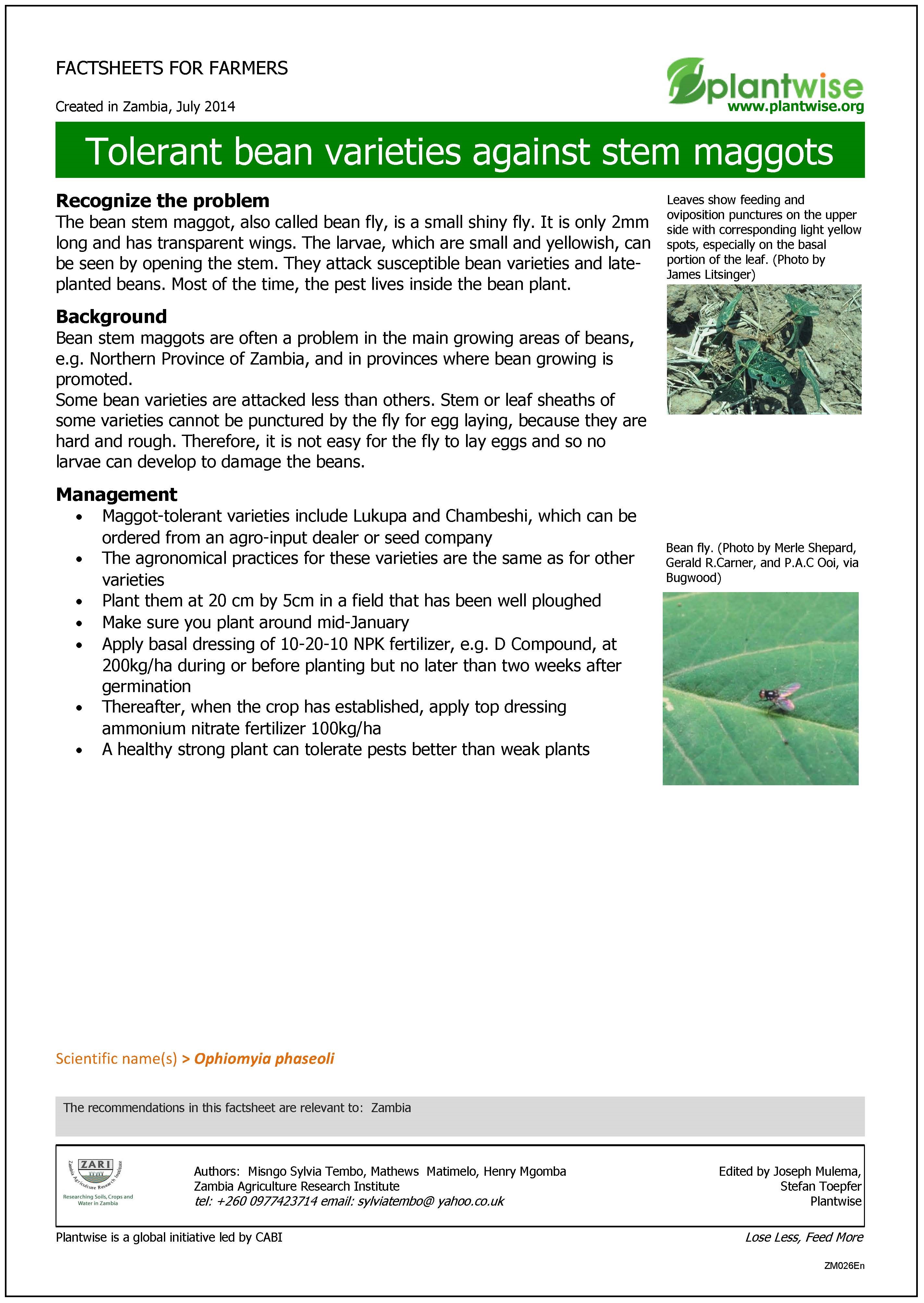 Factsheet of the month: May 2015 - Tolerant bean varieties against stem ...