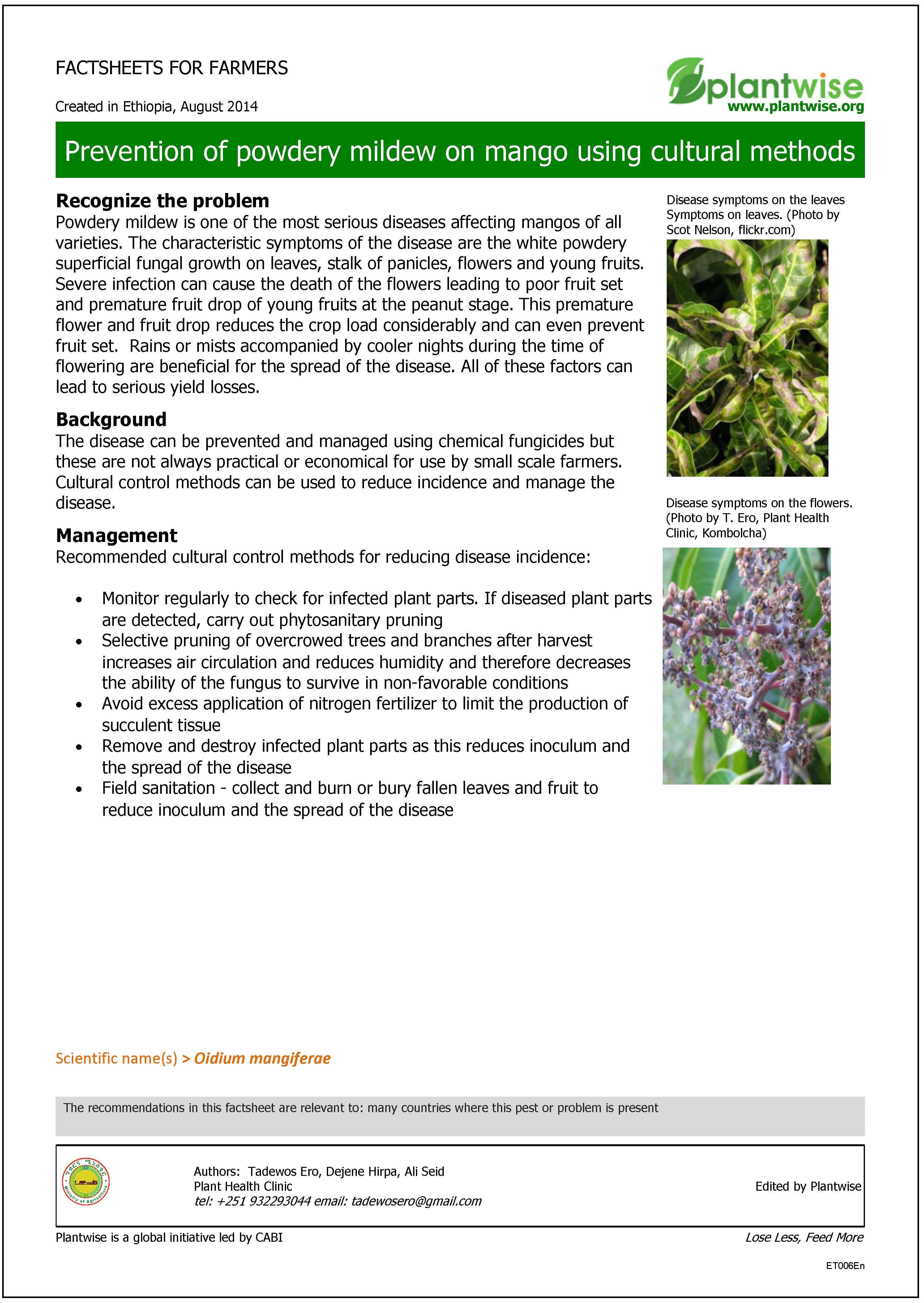 Factsheet of the month: July 2015 - Prevention of powdery mildew on ...