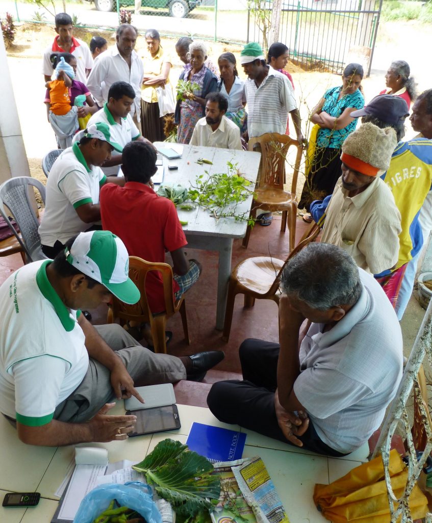 Sri Lankan plant doctors launch e-plant clinics – PlantwisePlus Blog