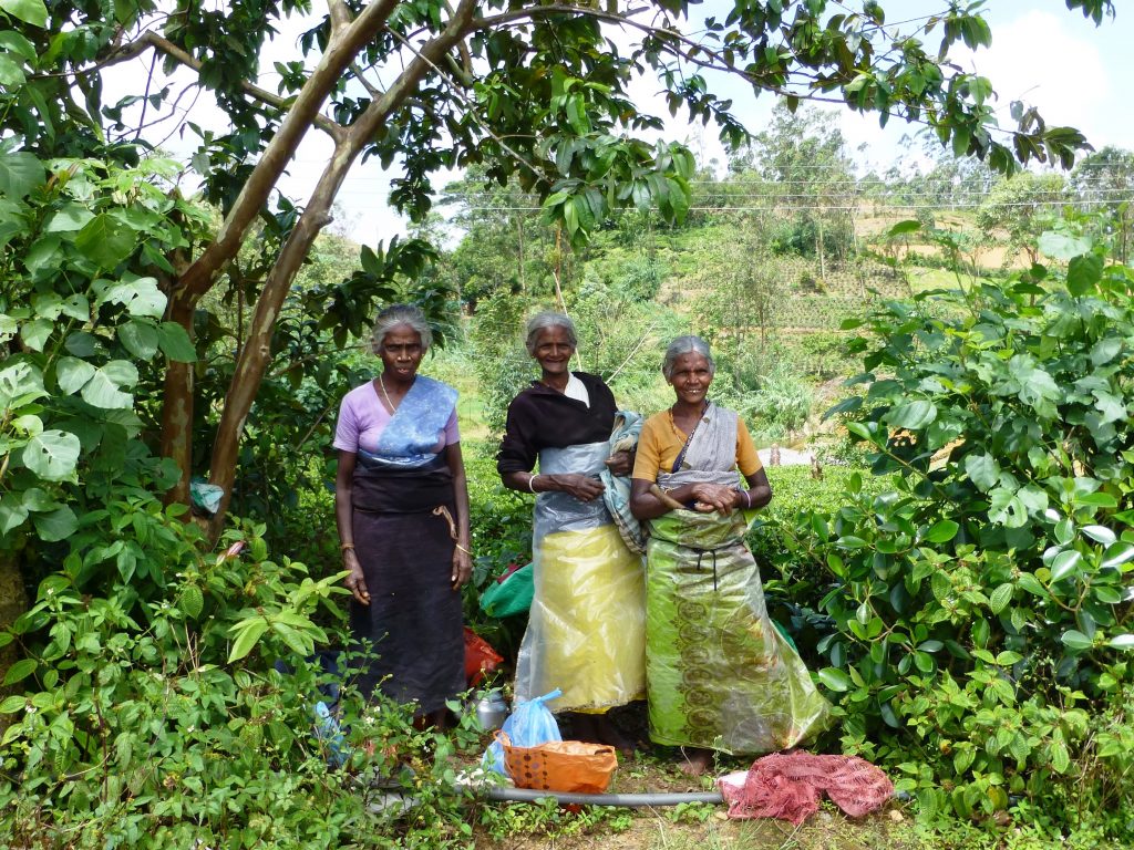 International Day of Rural Women – PlantwisePlus Blog