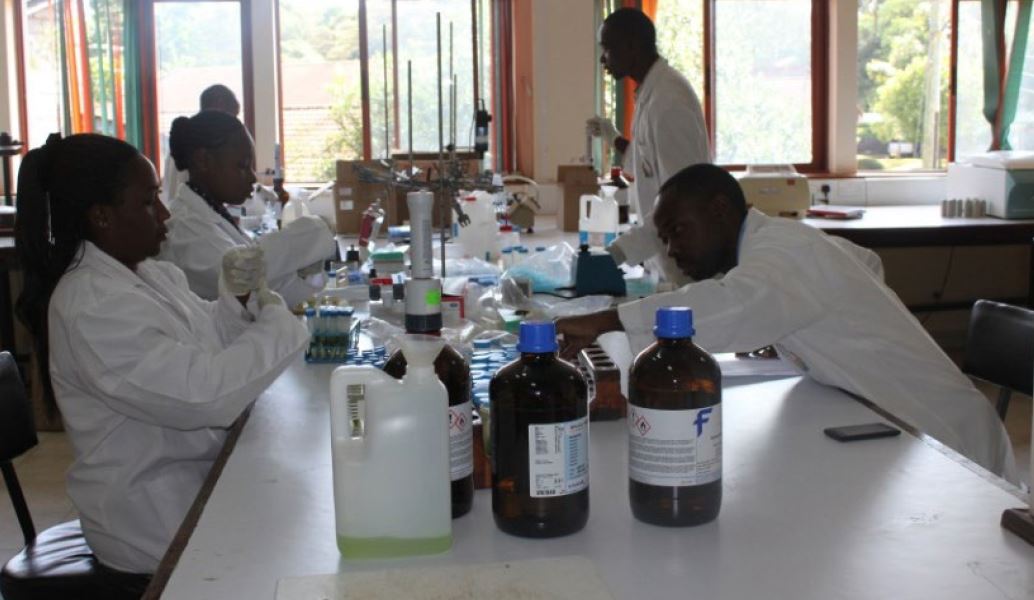 Kenya’s Phytosanitary Successes and Challenges – PlantwisePlus Blog