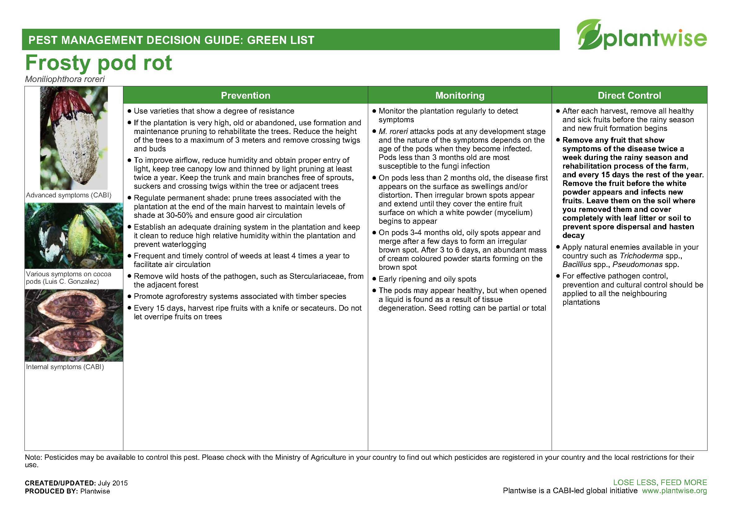 Frosty Pod Rot announced on Caribbean Cocoa – PlantwisePlus Blog