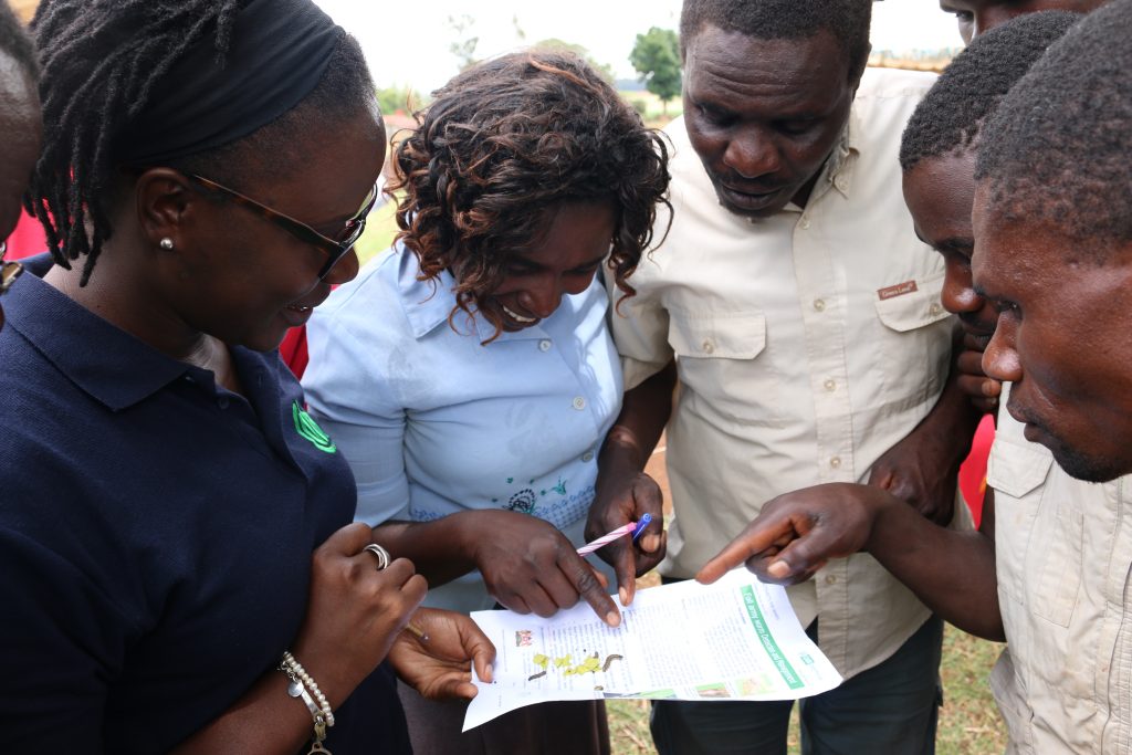CABI working with Partners to Manage Fall Armyworm in Kenya ...