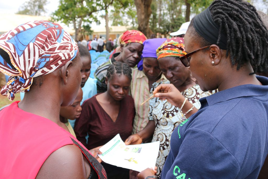 CABI working with Partners to Manage Fall Armyworm in Kenya ...