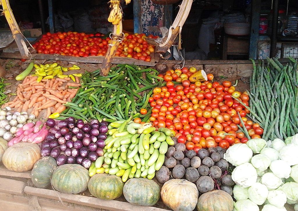 Why a problem of plenty is hurting India's farmers – PlantwisePlus Blog