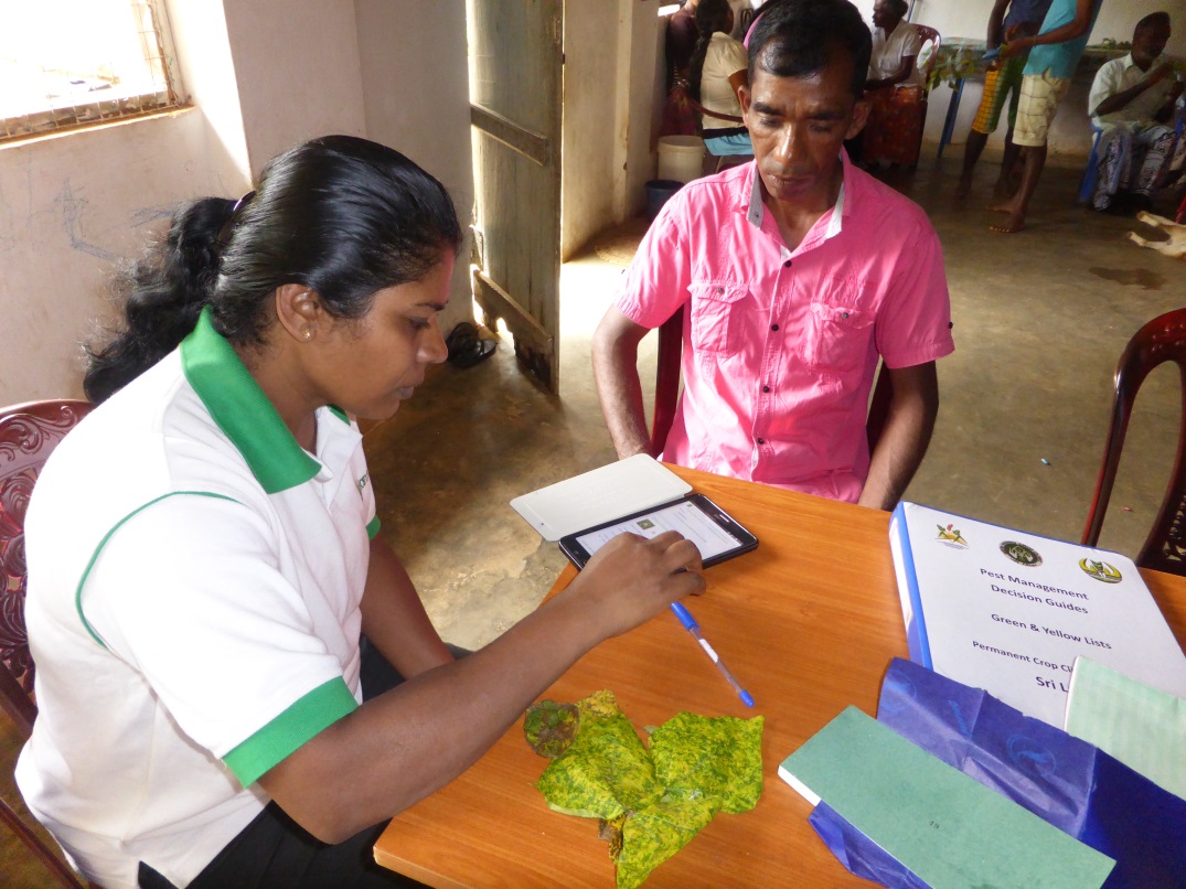 Photo story: e-plant clinics in Sri Lanka – PlantwisePlus Blog Photo story: e-plant clinics in Sri Lanka – PlantwisePlus Blog