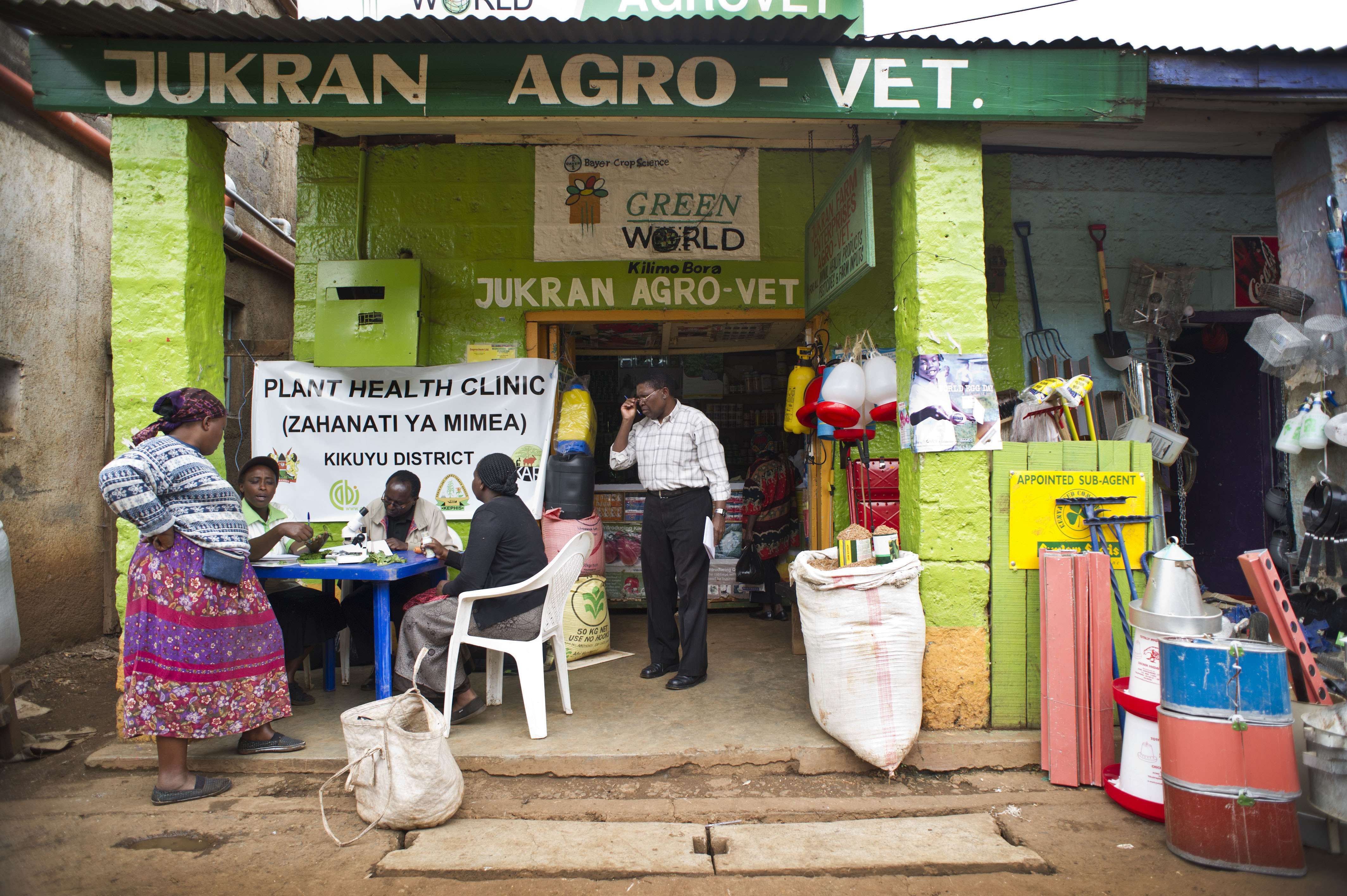 Kenyan farmers reap the benefits thanks to Plantwise plant clinics ...