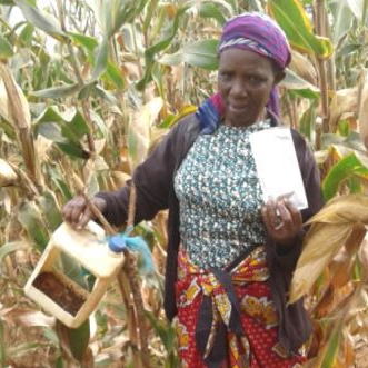 Plantwise successes revealed in Impact Story Competition ...