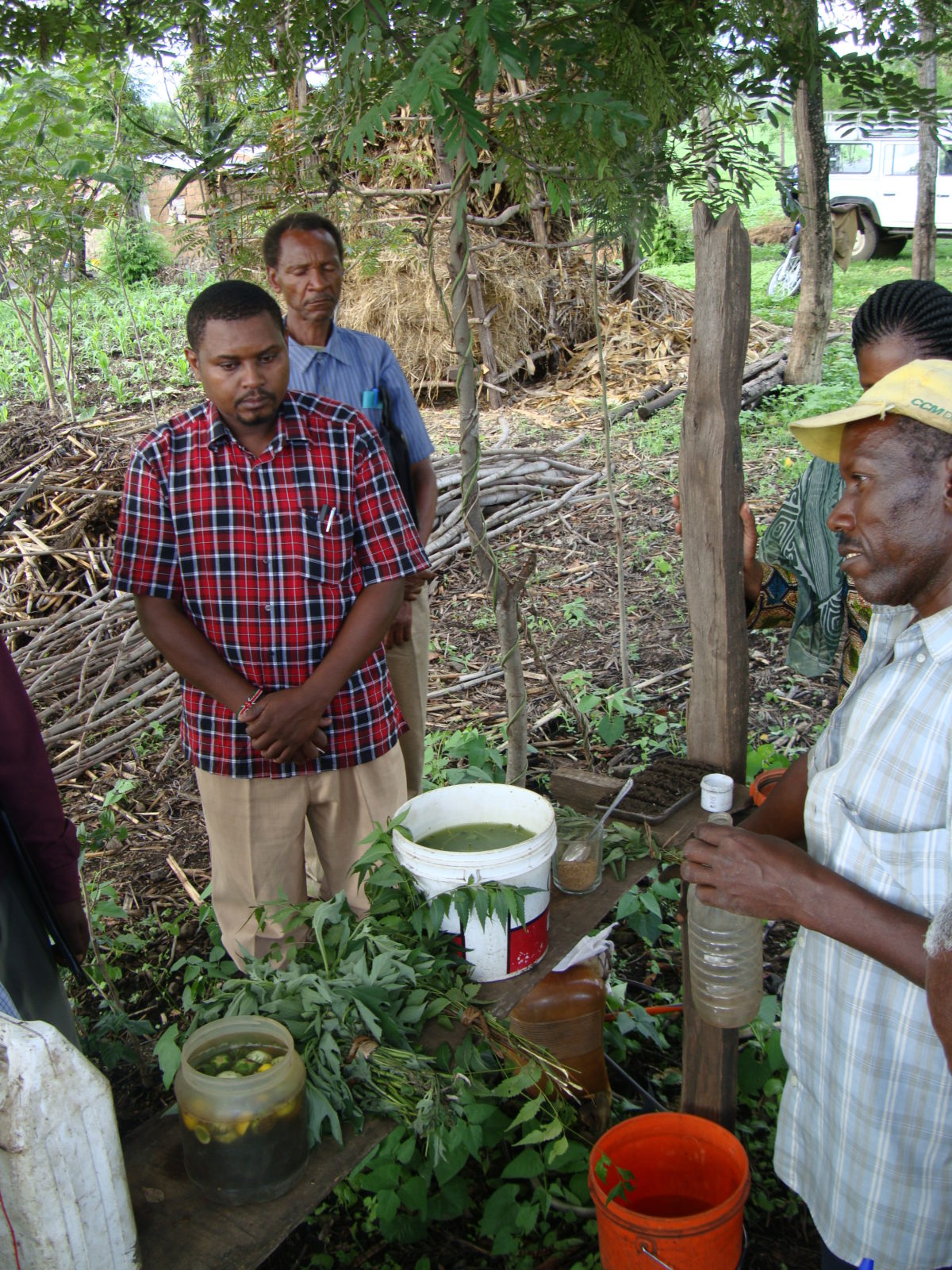 Homemade botanical remedies: can they really work for pest control ...