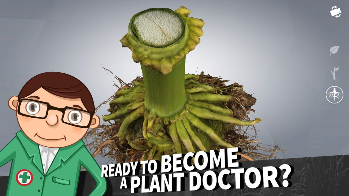 Plantwise releases two educational games for plant doctors ...