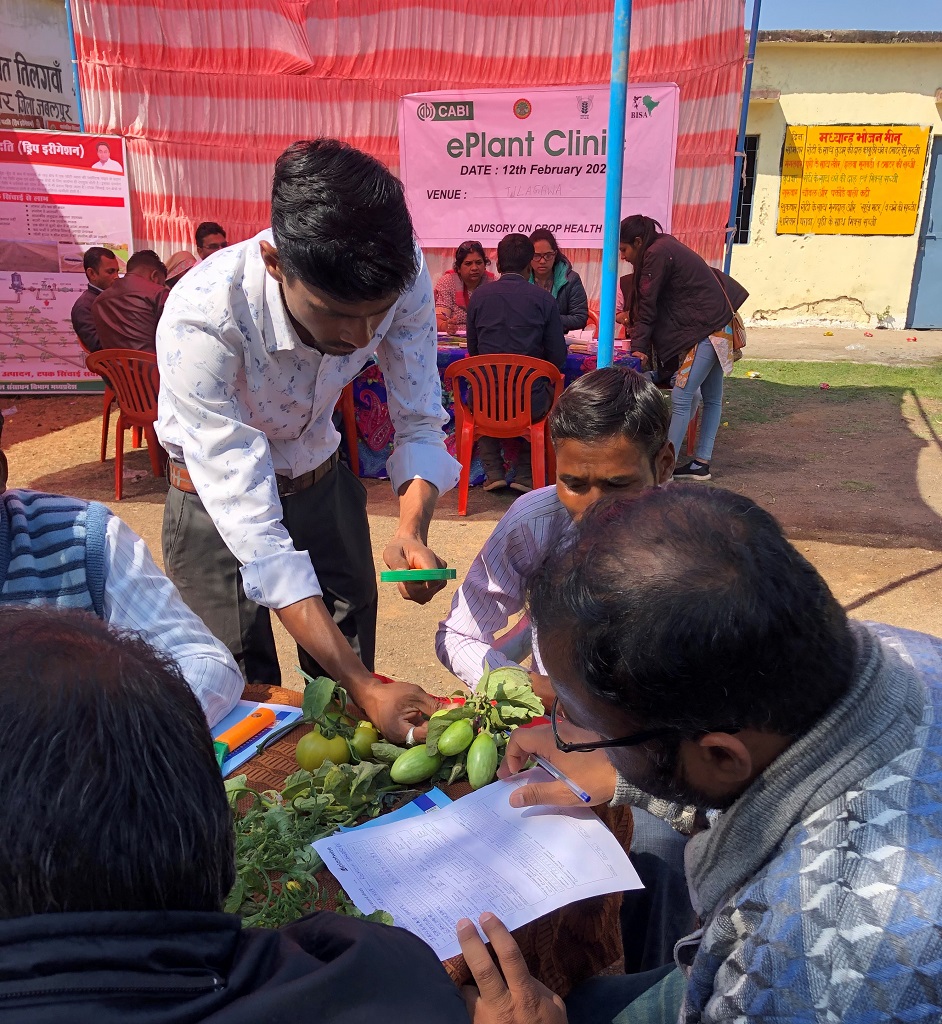 New plant doctors in India "monitor the field through a farmer's eyes ...