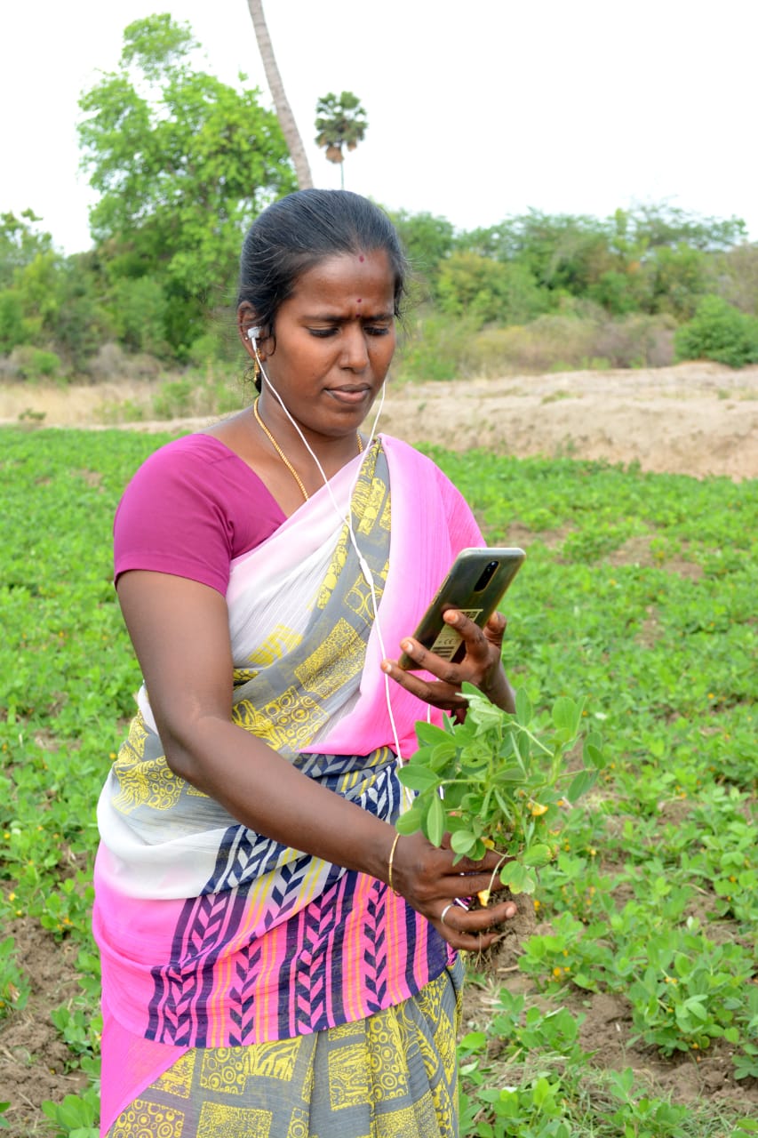 These e-Plant Doctors Can Help Solve Farmers' Crop Woes in Minutes ...