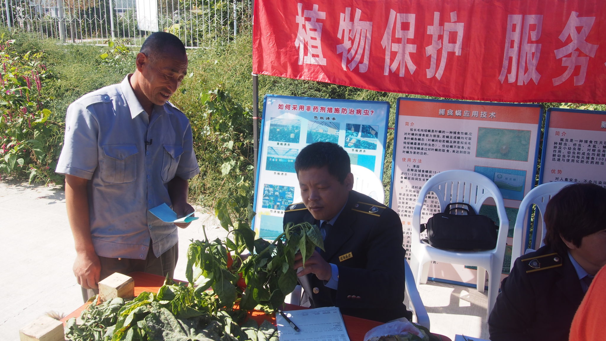 Moving to more sustainable pest management with plant doctors in China ...