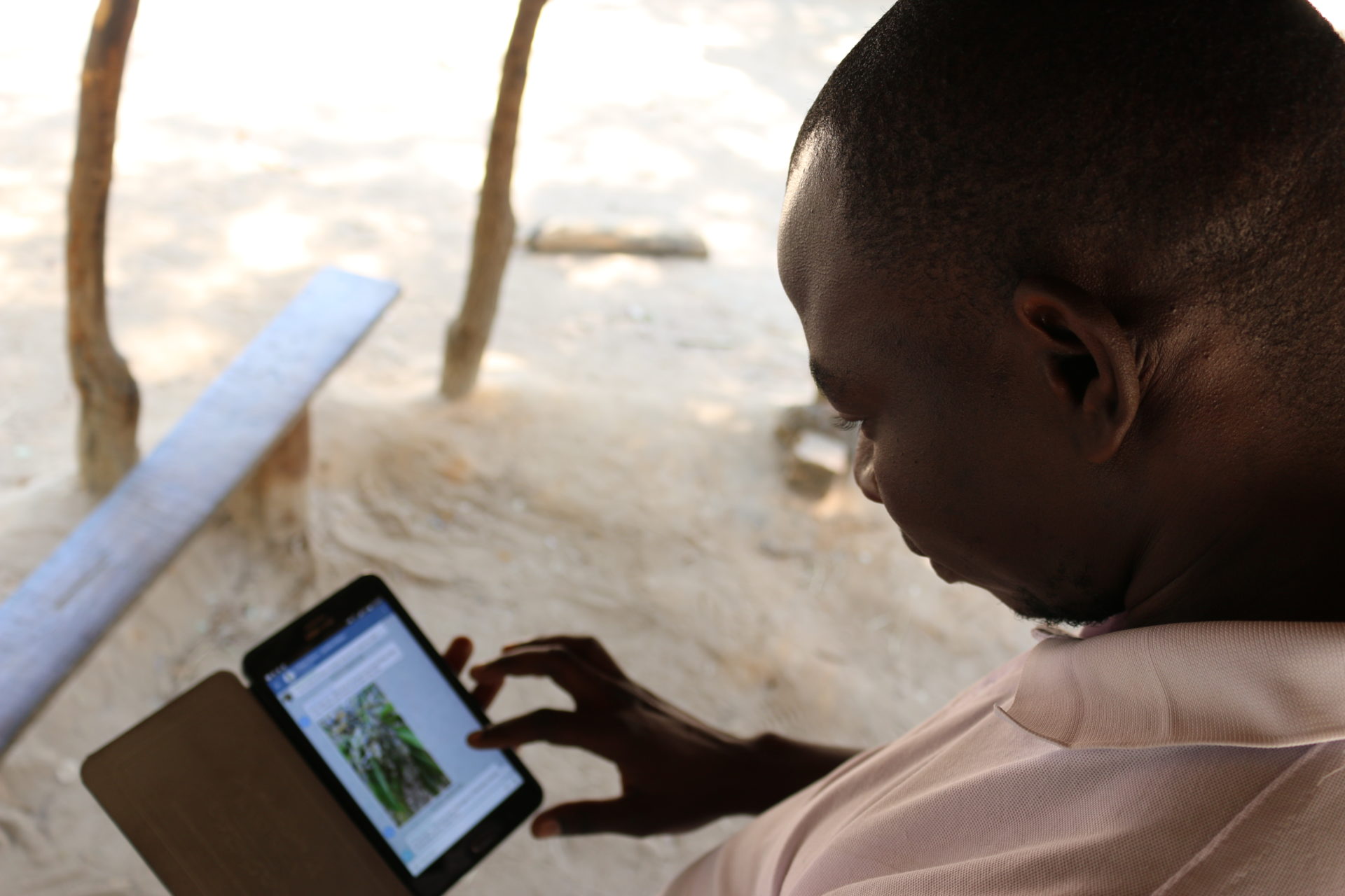 Digital sustainability: Plantwise tools supporting smallholder farmers