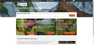 What is the Plantwise Knowledge Bank? – PlantwisePlus Blog