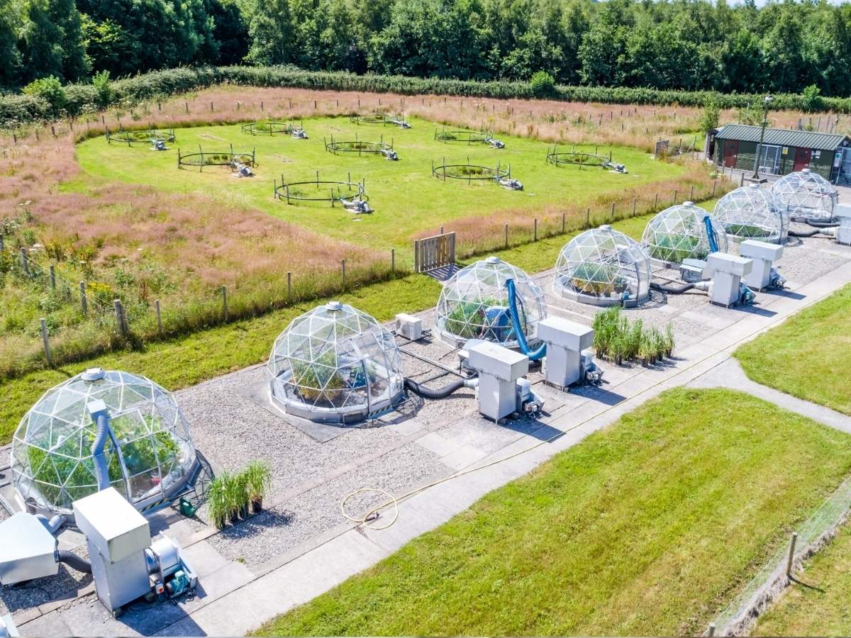 Webinar highlights ozone pollution and its threat to agriculture