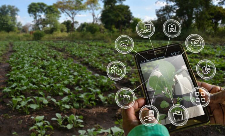 Crop App Index: An easier way to find plant health digital tools