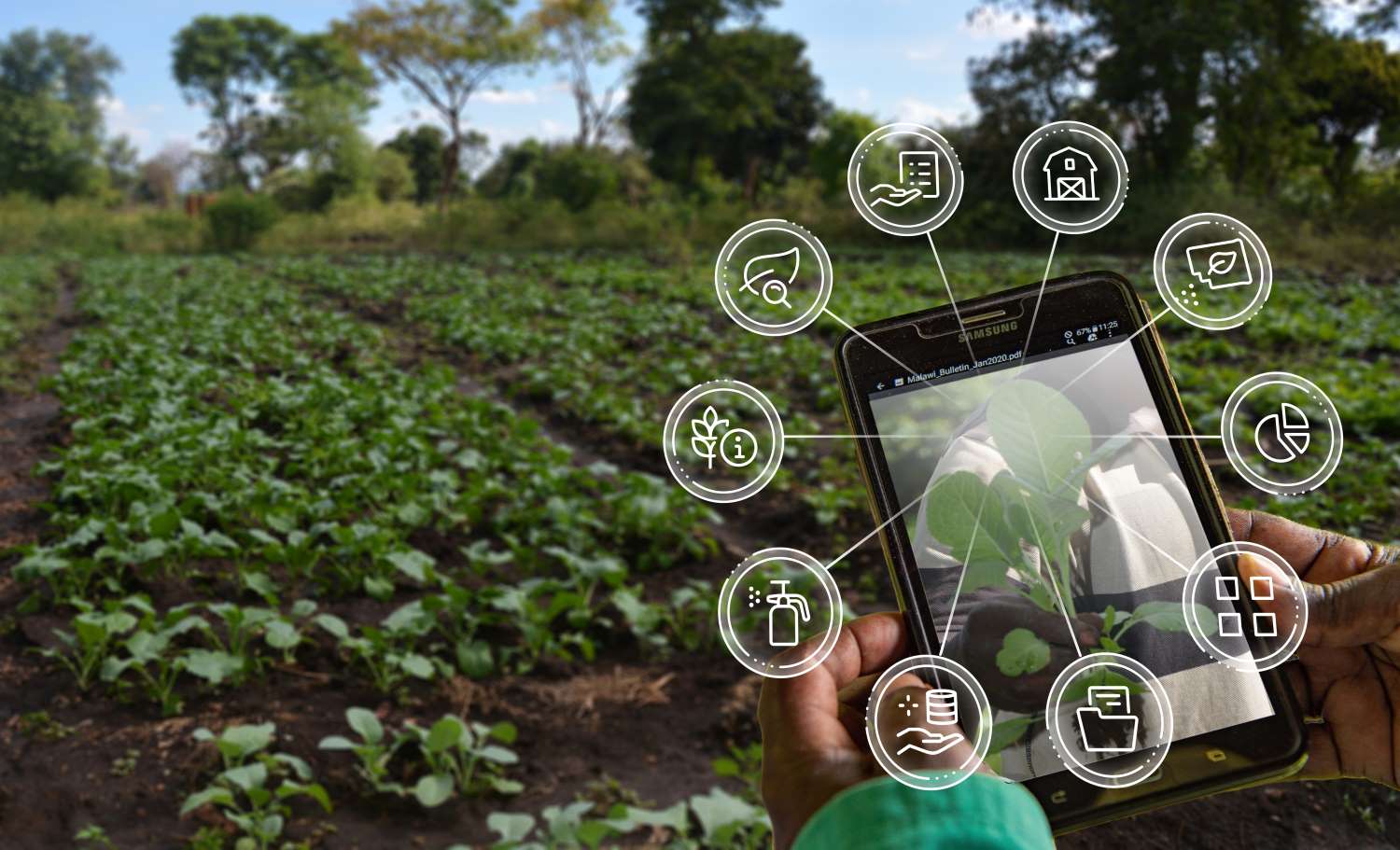 Crop App Index: An easier way to find plant health digital tools