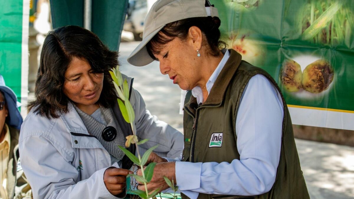 Digital advisory tools in the hands of women agricultural service providers