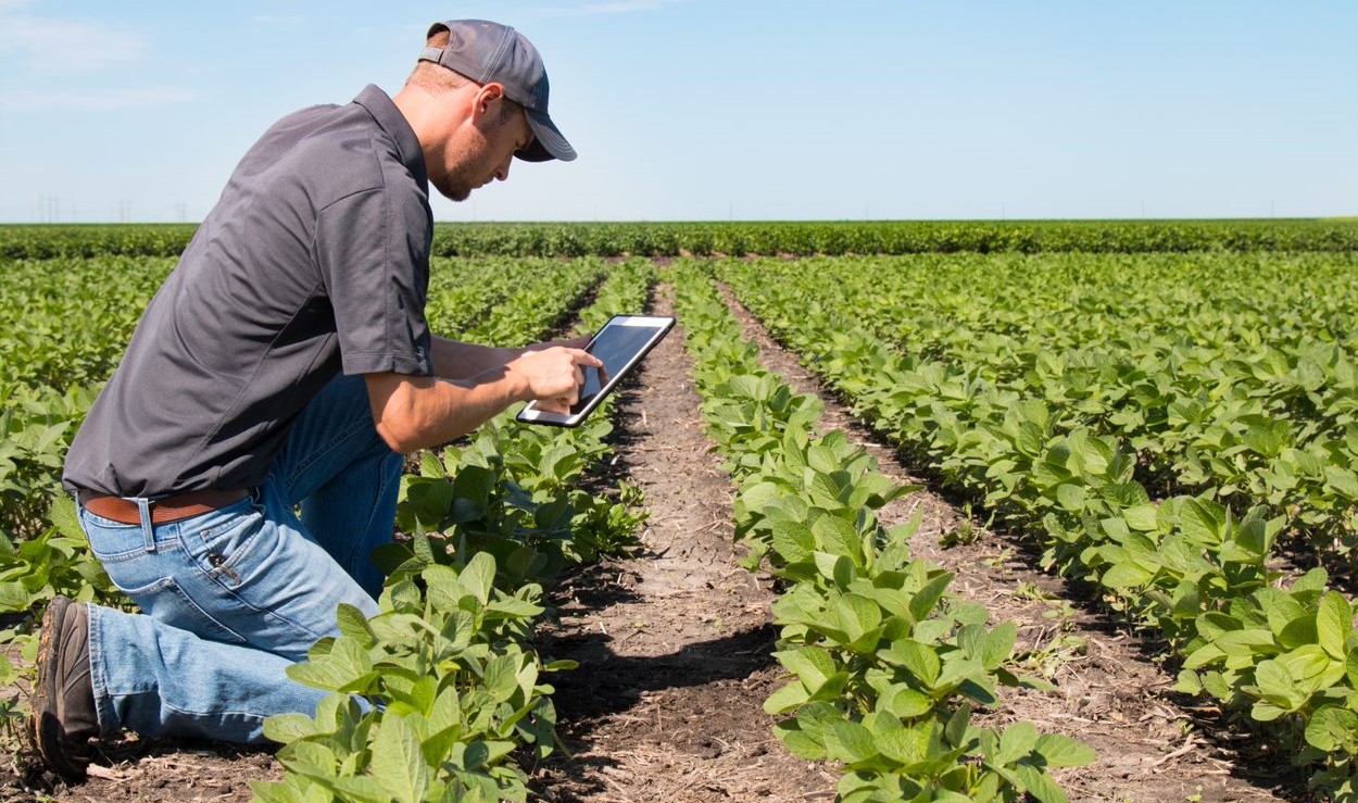 Agricultural mobile apps strengthening agricultural extension