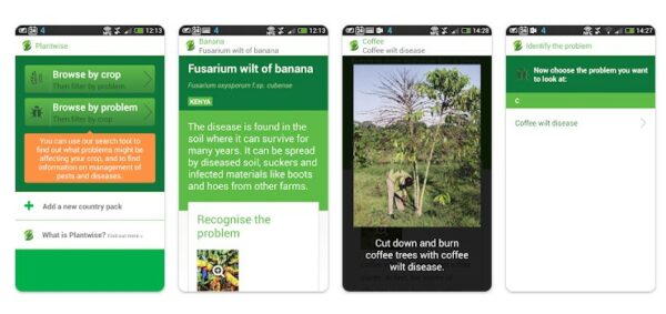 Agricultural mobile apps strengthening agricultural extension