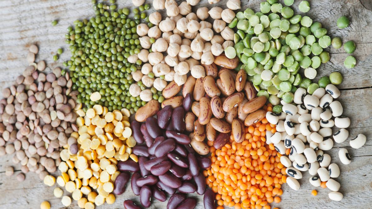 East Africa's bean industry adapts to climate change