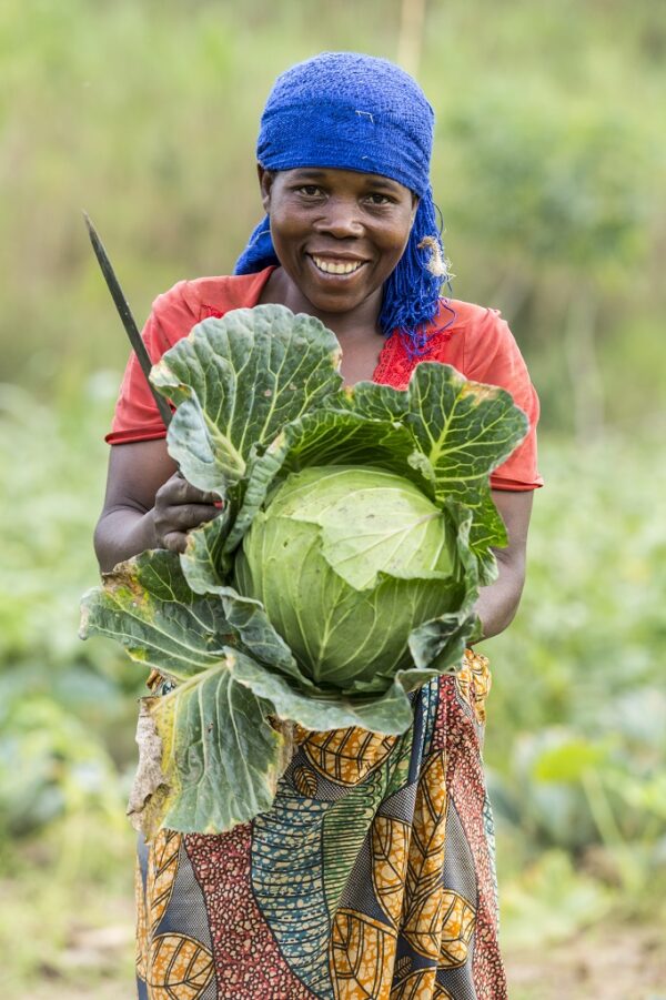 Three types of training delivering plant health knowledge to Burundi's ...