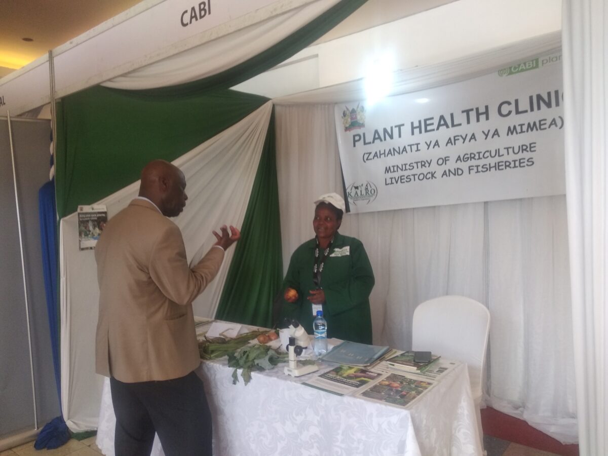Making production standards work for Kenya's growers