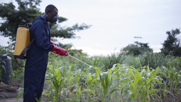Using mass media campaigns to promote safer pesticide use