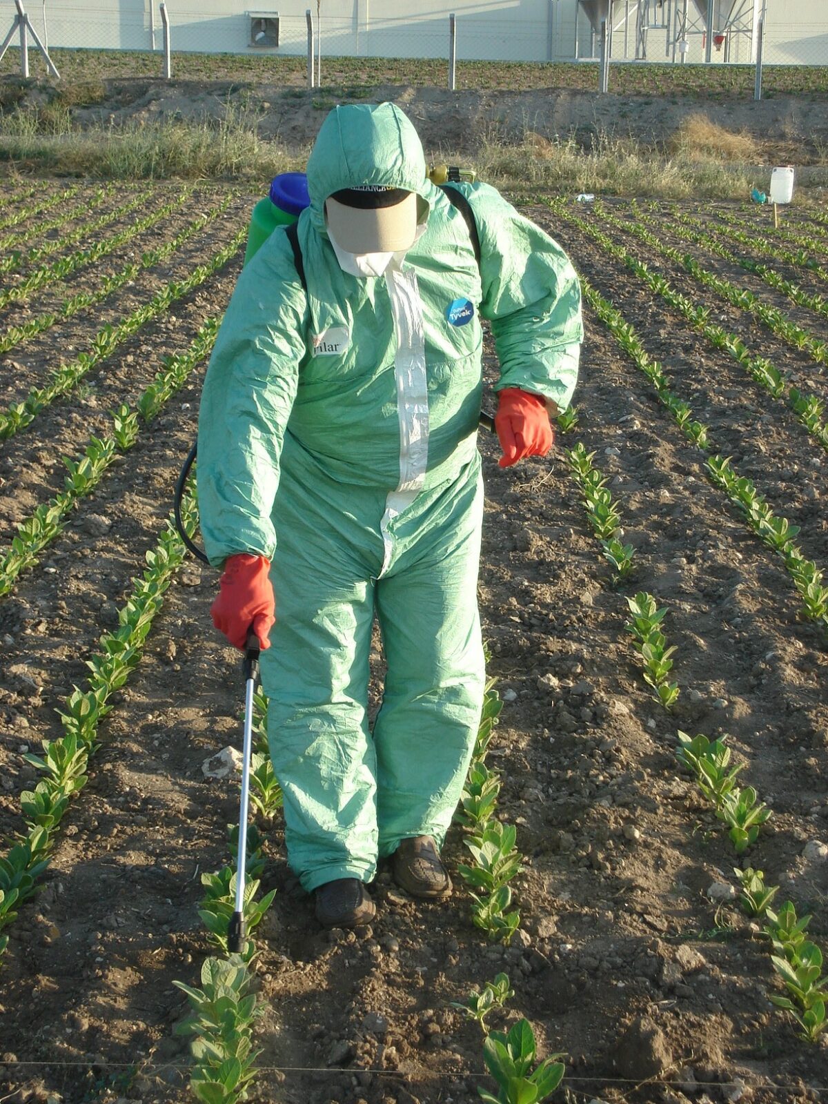 Using mass media campaigns to promote safer pesticide use