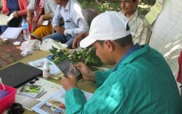 The uptake of digital tools in Nepal discussed at workshop ...