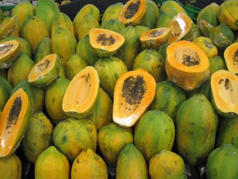 Common papaya disorders: A comprehensive guide – PlantwisePlus Blog