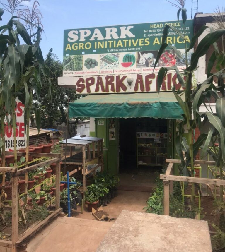 Can Uganda's agro-dealers become champions of sustainable pest control?