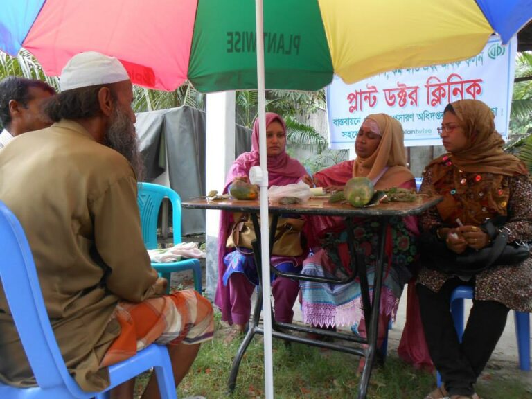 How plant clinics are strengthening crop health services in Bangladesh ...