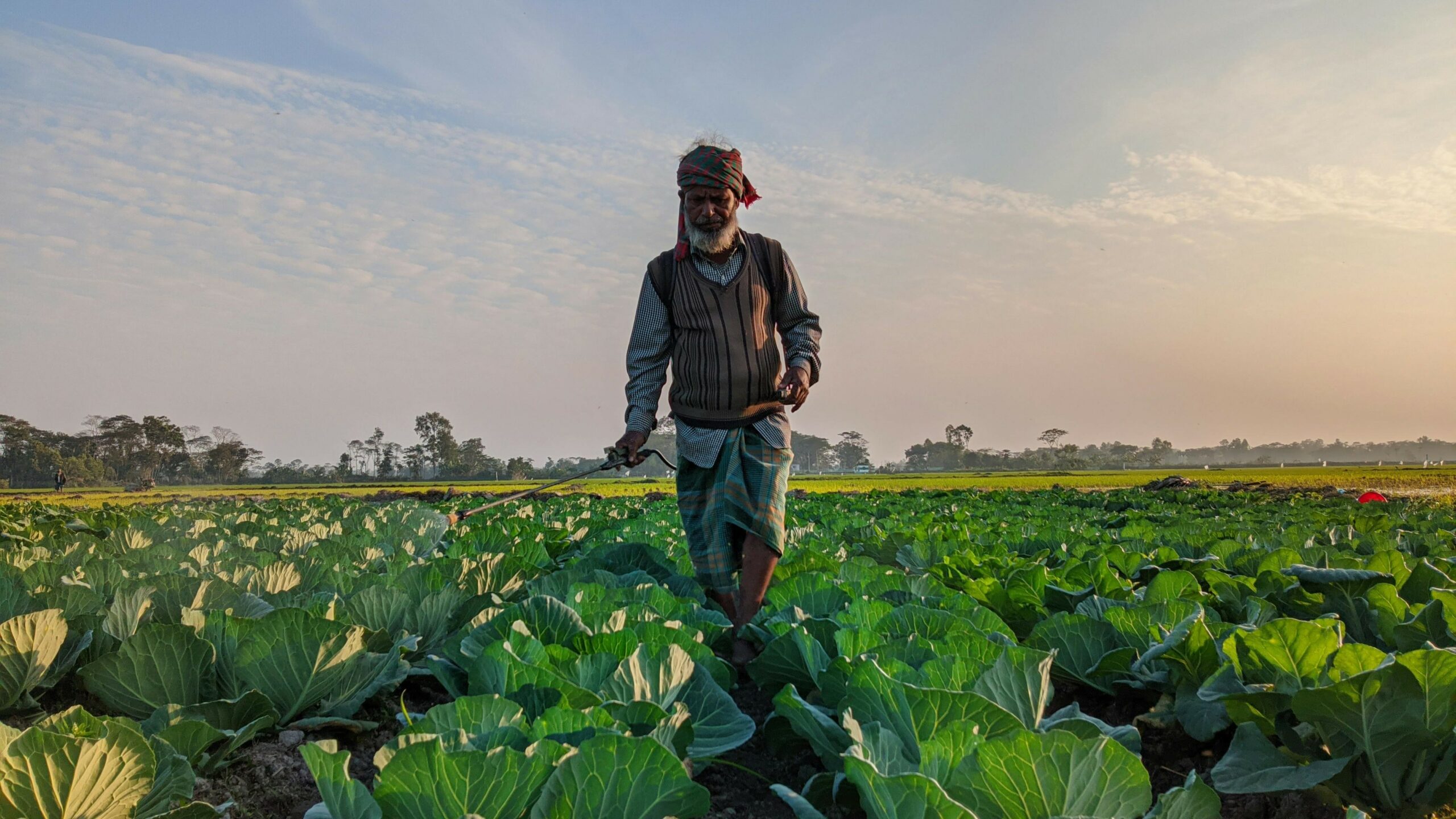 PlantwisePlus develops agro-input dealer training scheme