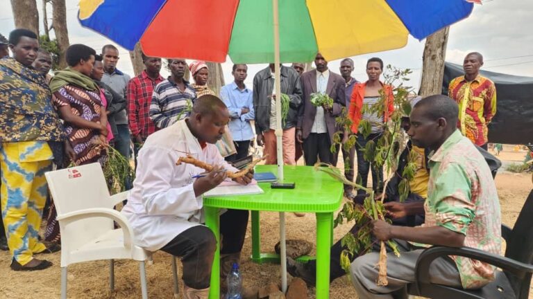 11 Lessons Learned Leading Agricultural Development in Burundi