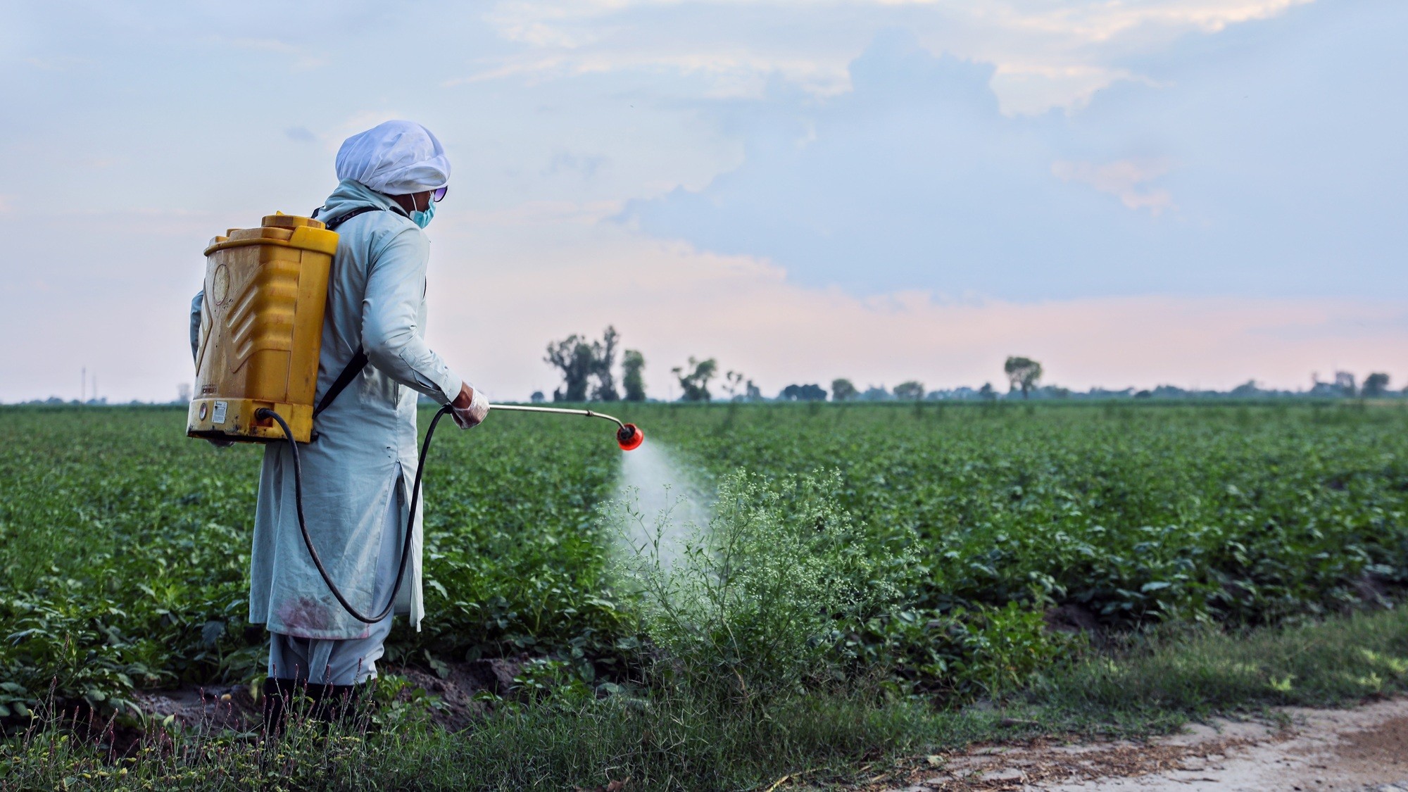 Pesticide risk reduction in Pakistan: Building a safer future for farming