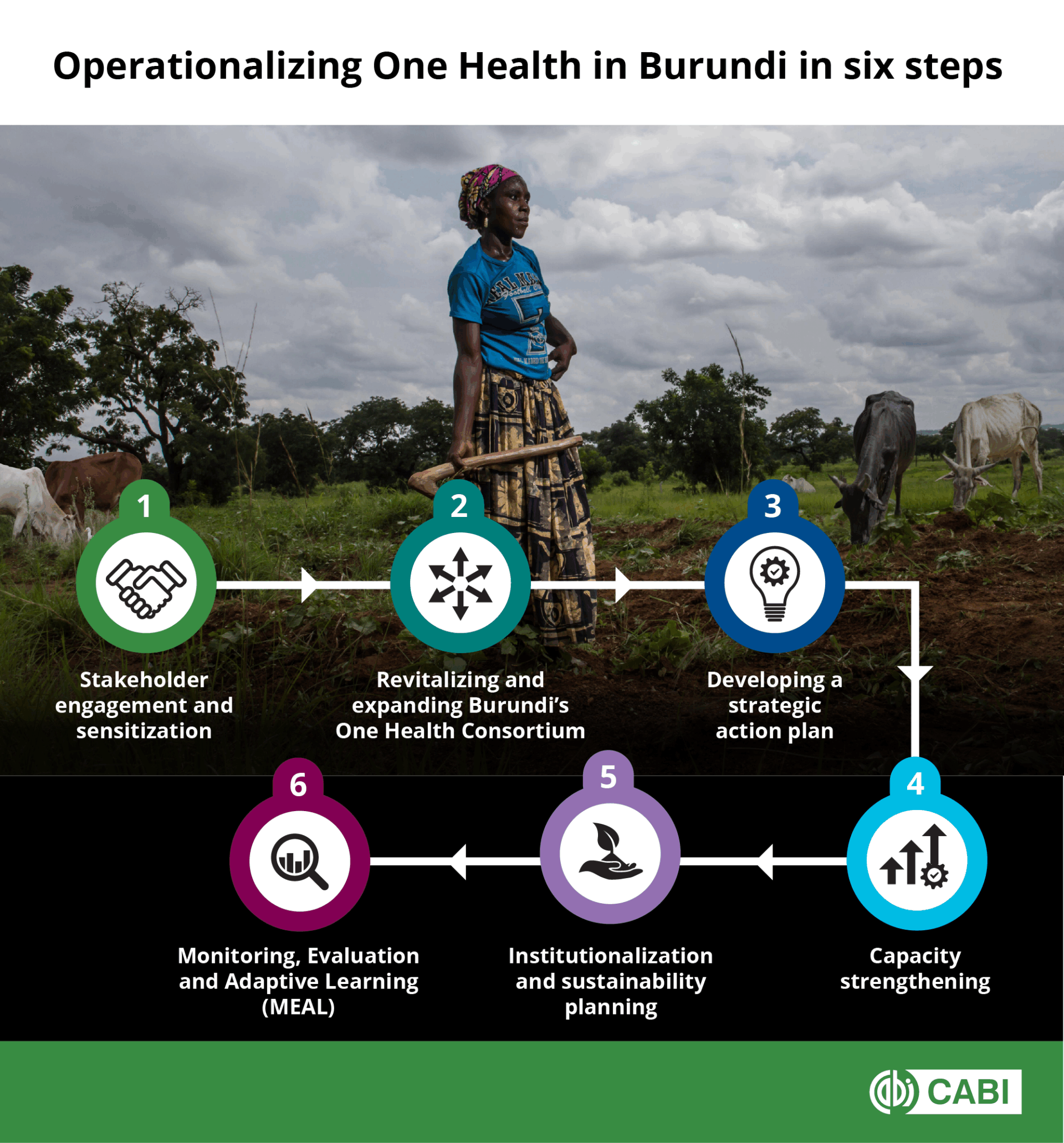 One Health in Burundi: Solving challenges to human, animal, plant and ...