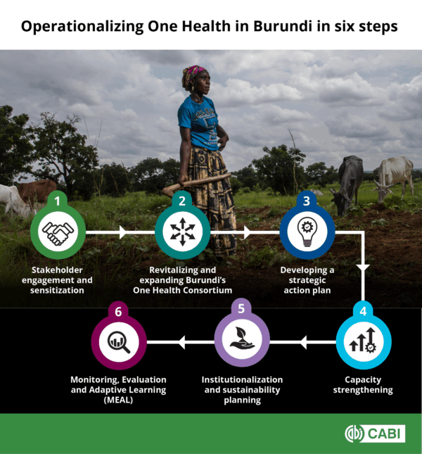 One Health in Burundi: Solving challenges to human, animal, plant and ...