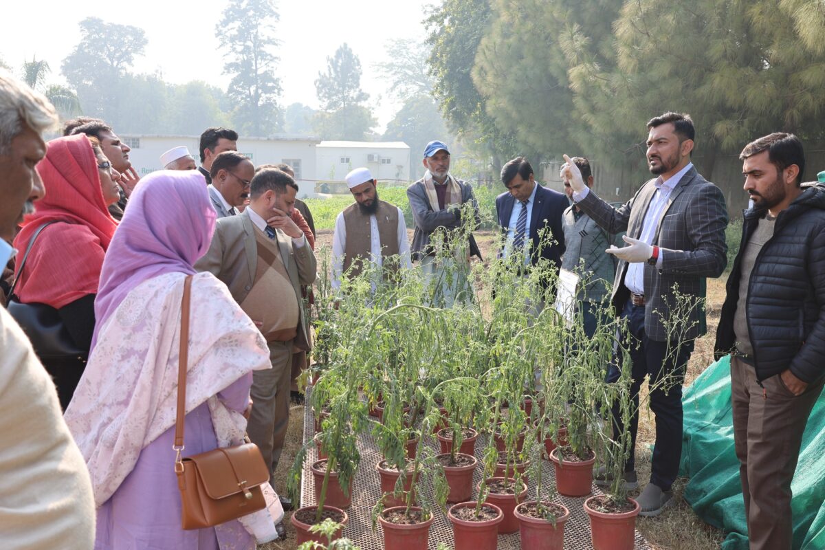 Rooting out parthenium: A milestone moment for sustainable weed ...